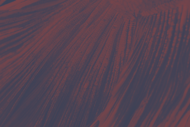 Spiber.inc | Official Website