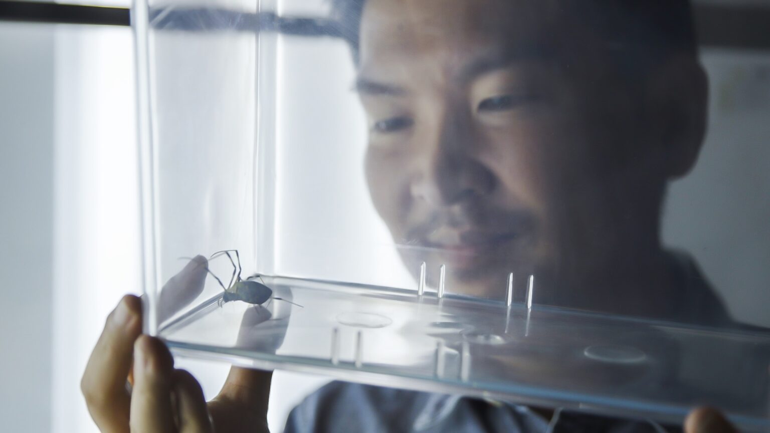 Announcing the release of a mini-documentary produced for Spiber by BBC ...